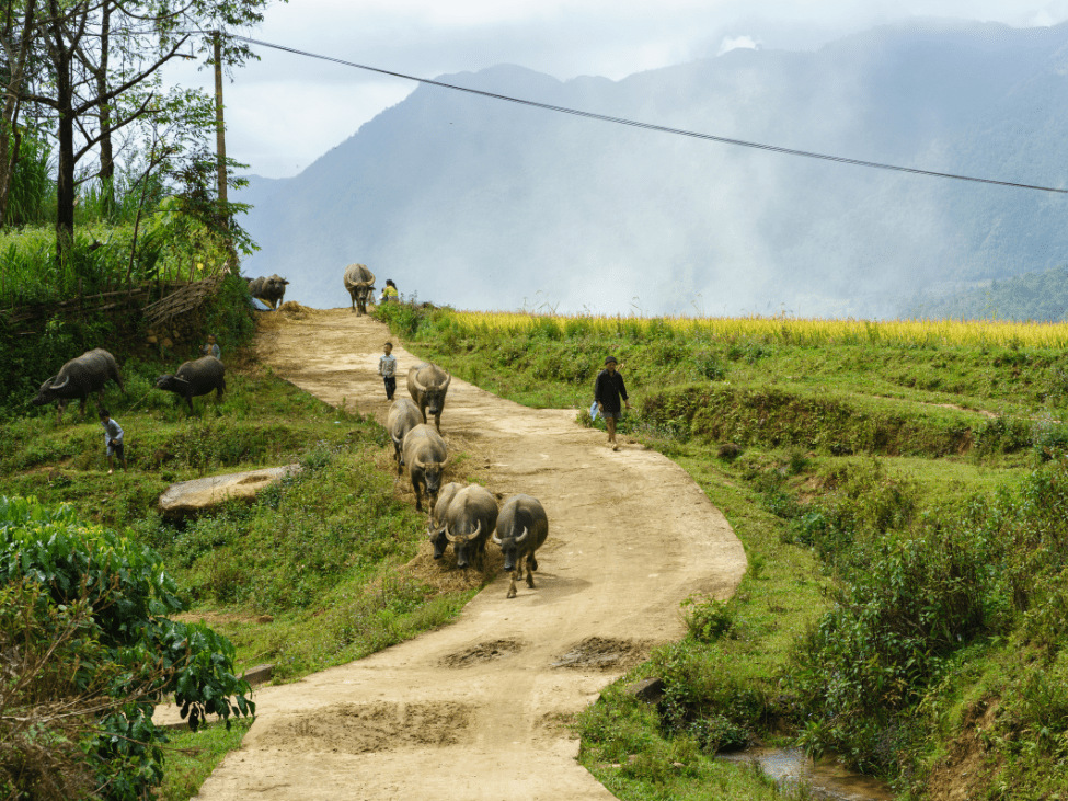 Top 3 Must-Visit Trekking Destinations in Northern Vietnam | Vespa ...