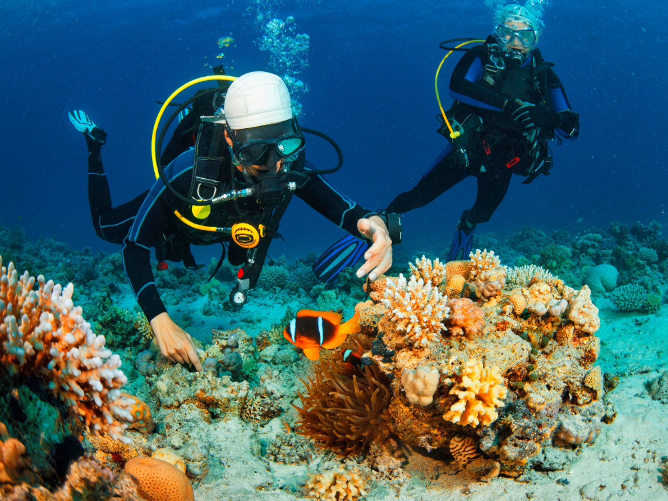 Exploring Marine Life on a Diving Adventure in Vietnam | Vespa ...